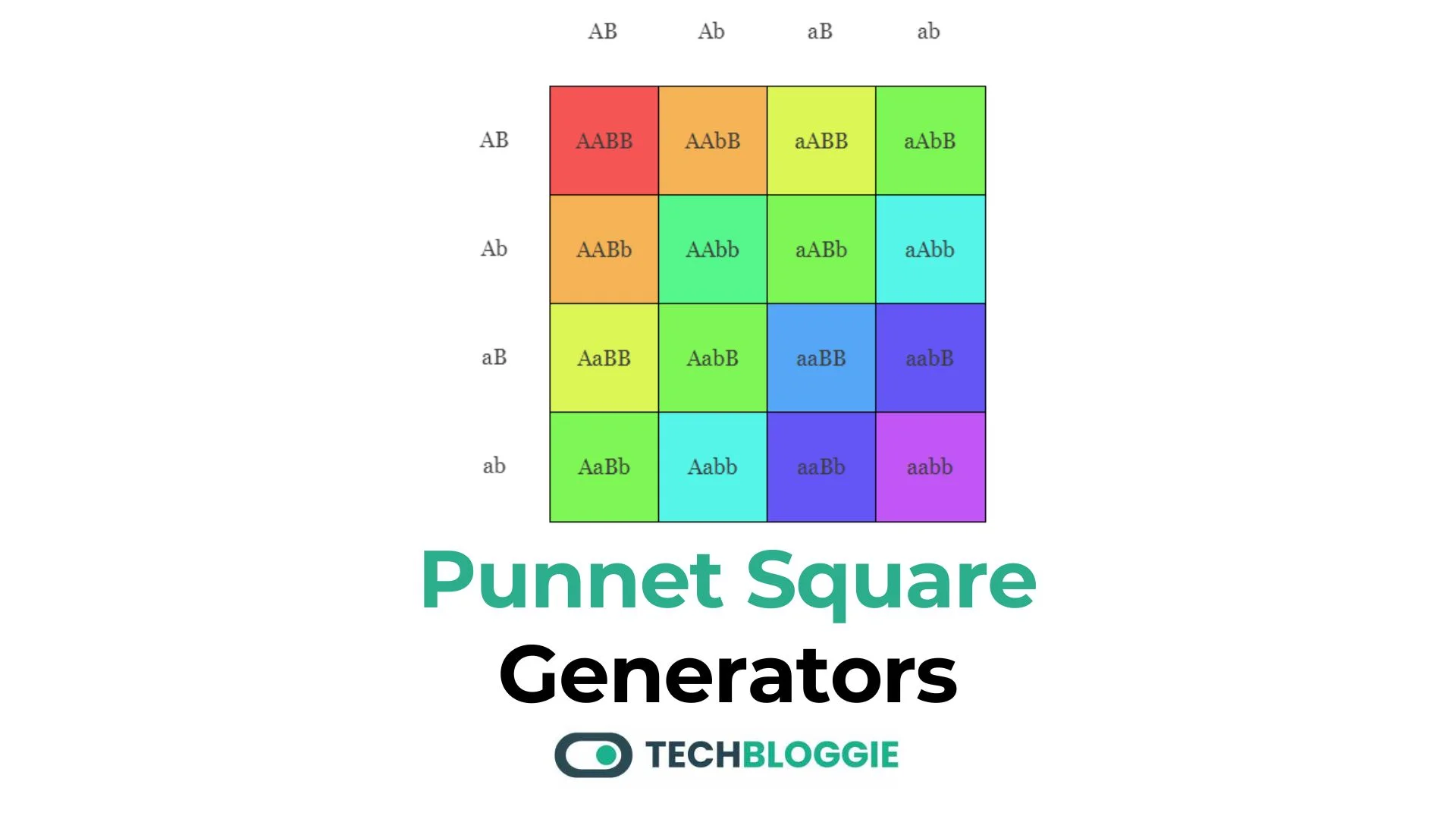 Three best Punnett Square Generators - Online and Offline - TechBloggie